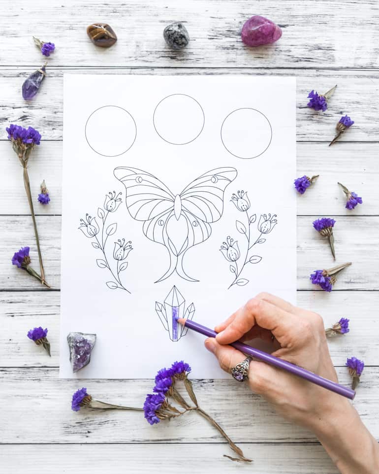 Natashalh — Free Printable Luna Moth Coloring Page